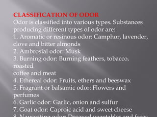 Sensation of smell converted | PPT | Free Download