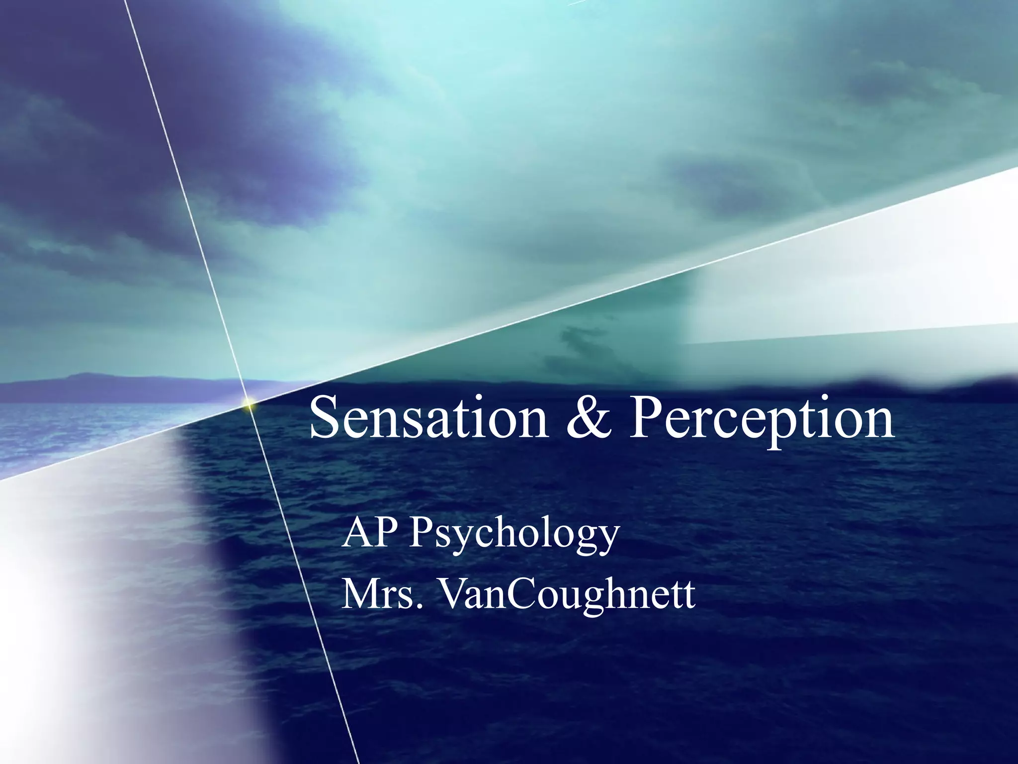 Sensation & Perception | PPT