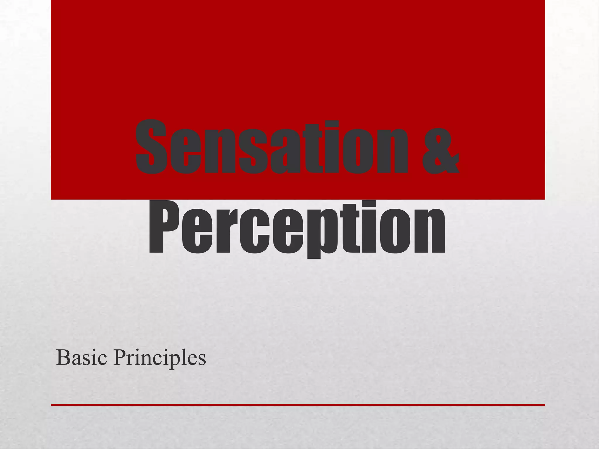 Sensation & Perception | PPTX