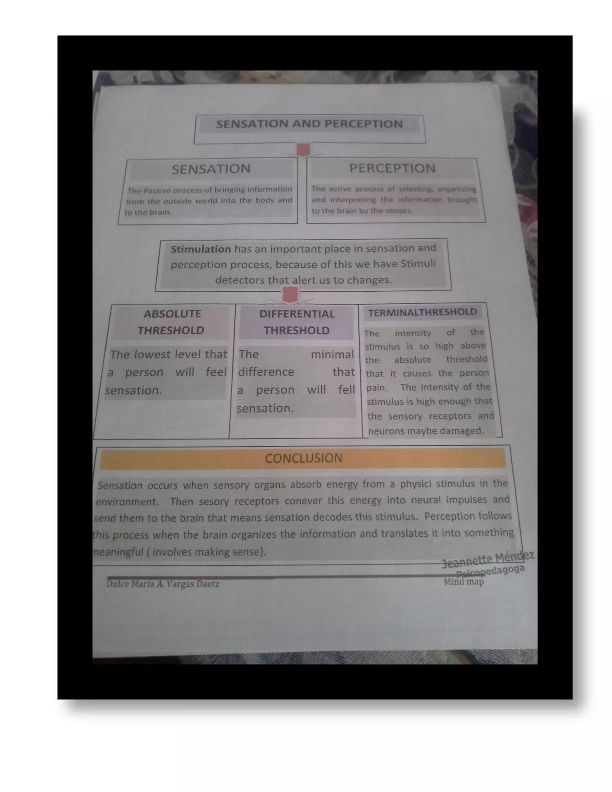 Sensation & perception MIND MAP | PDF