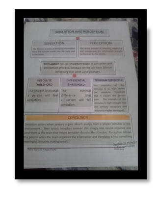 Sensation & perception MIND MAP | PDF | Science