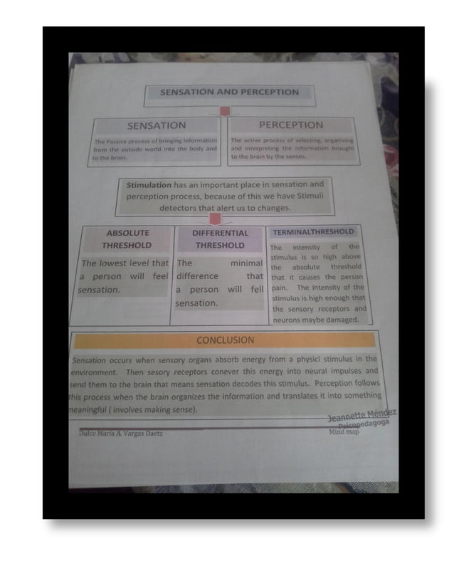 Sensation & perception MIND MAP | PDF