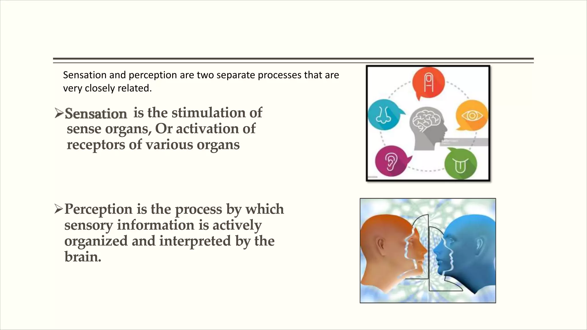 Sensation & perception | PPTX