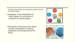 Sensation & perception | PPTX