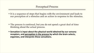 Sensation & perception | PPTX