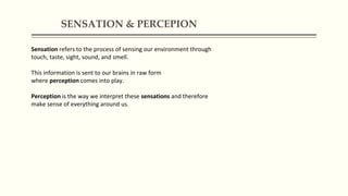 Sensation & perception | PPTX
