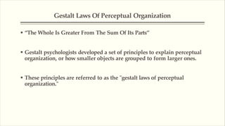 Sensation & perception | PPTX