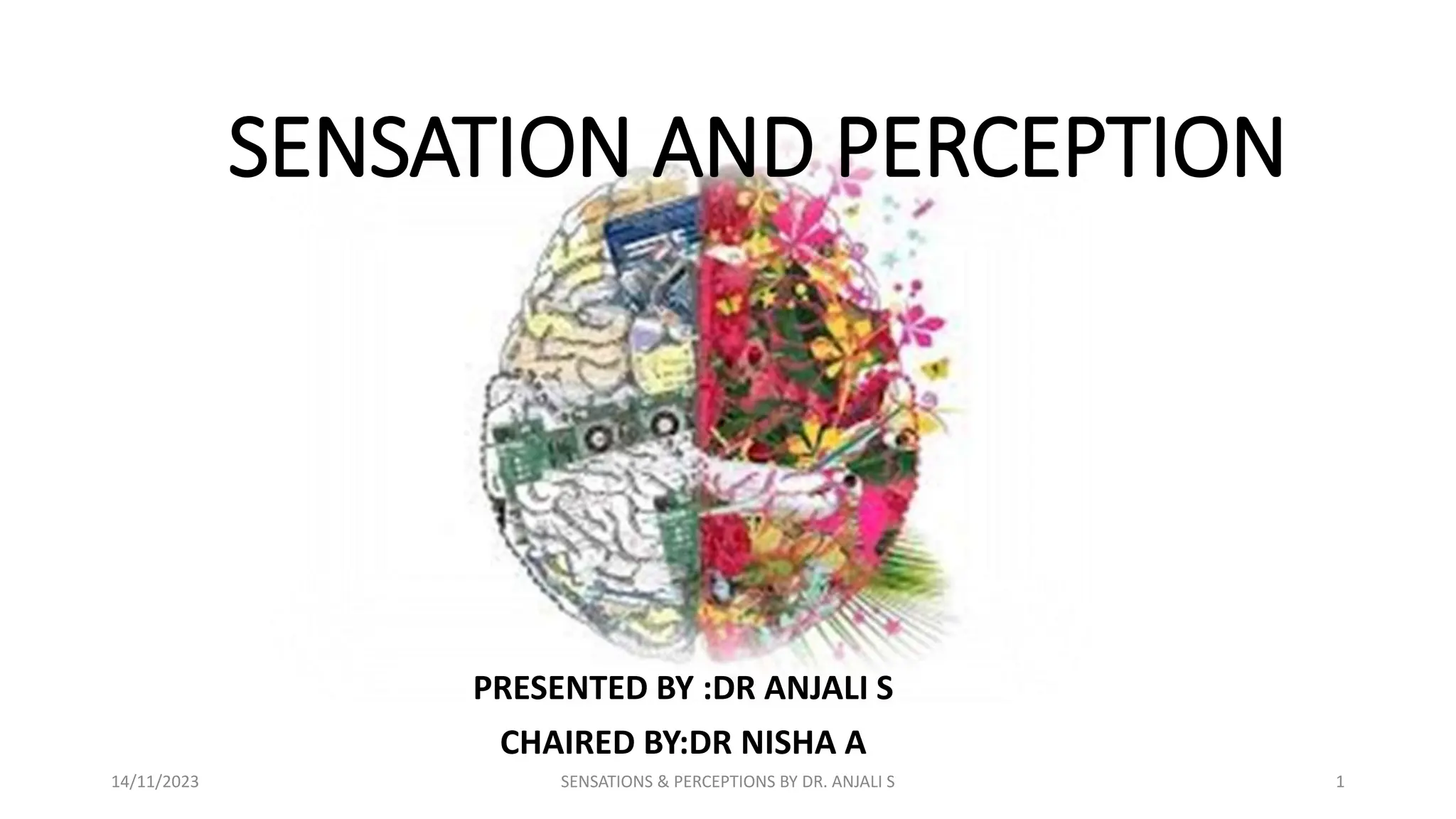 sensation and perception,psychology topic | PPTX