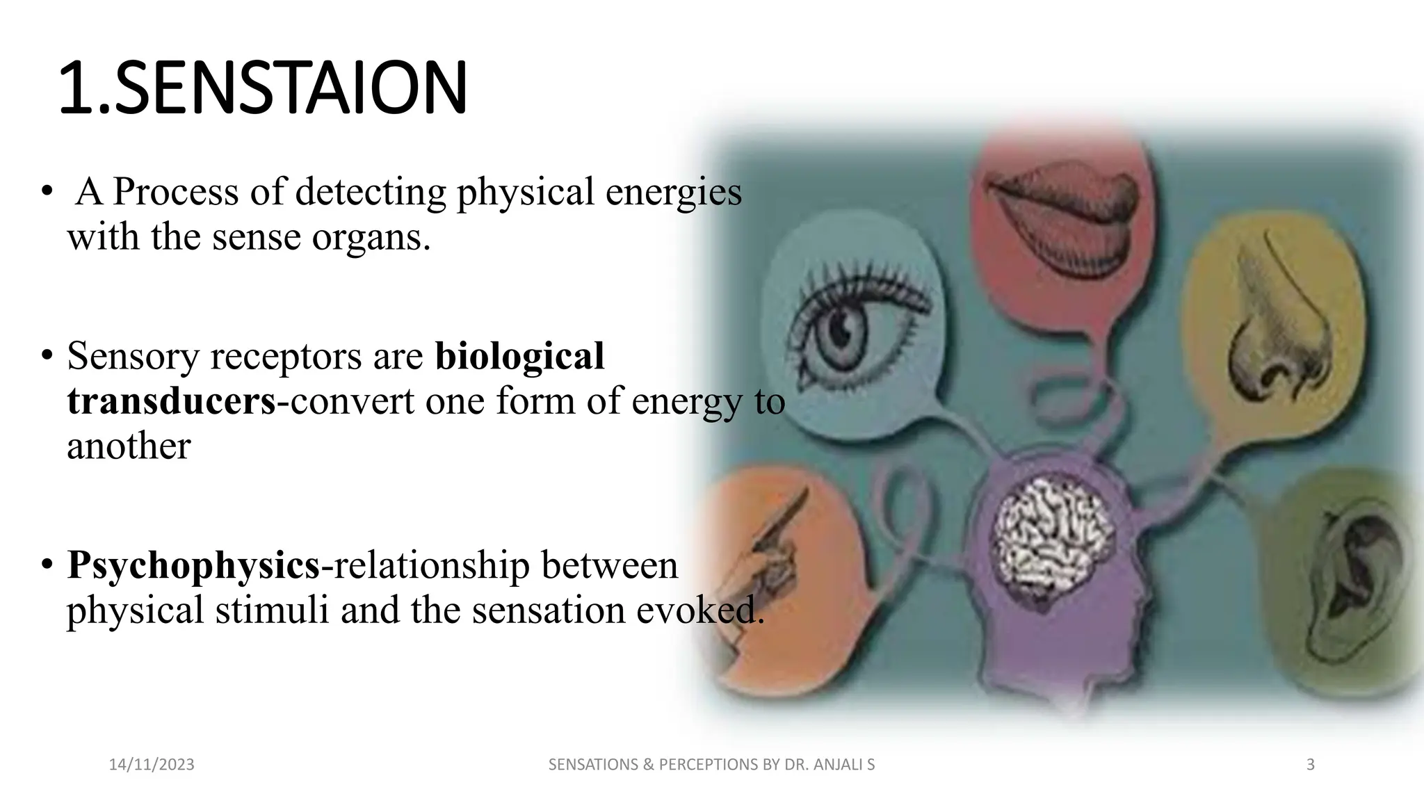 sensation and perception,psychology topic | PPTX
