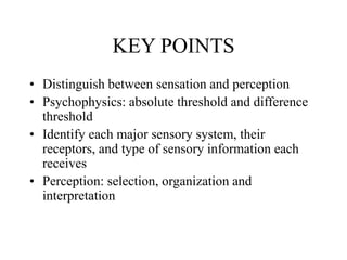 sensation_perception (1).ppt