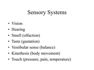 sensation_perception (1).ppt