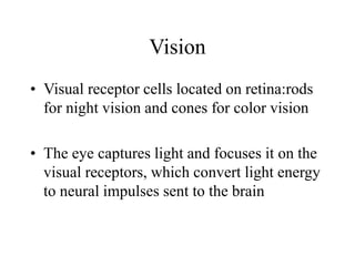 sensation_perception (1).ppt