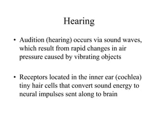 sensation_perception (1).ppt