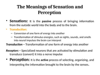 Sensation and Perception lecture slides | PPTX