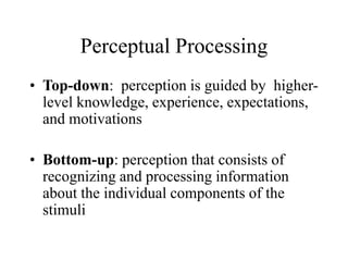 sensation_perception (3).ppt