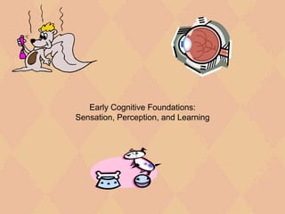 sensation perception and learning.ppt