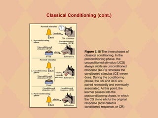 sensation perception and learning.ppt