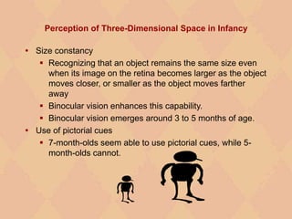 sensation perception and learning.ppt