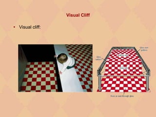 sensation perception and learning.ppt