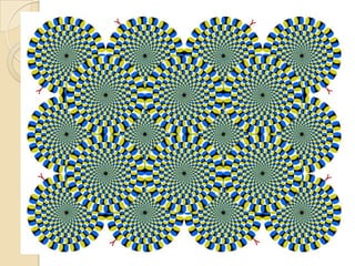 Sensation perception original | PPTX | Brain and Nervous System ...