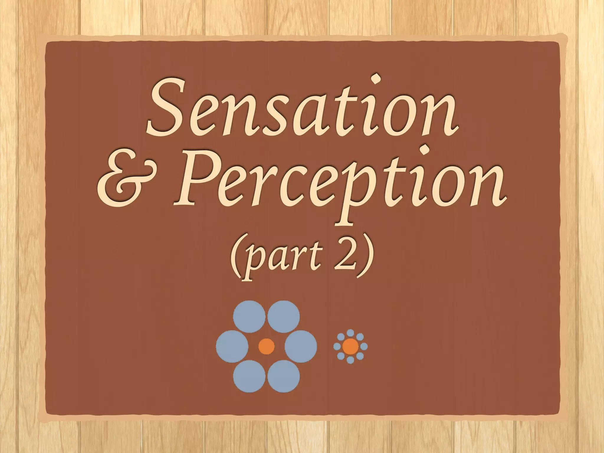 Sensation & Perception 2 | PPT