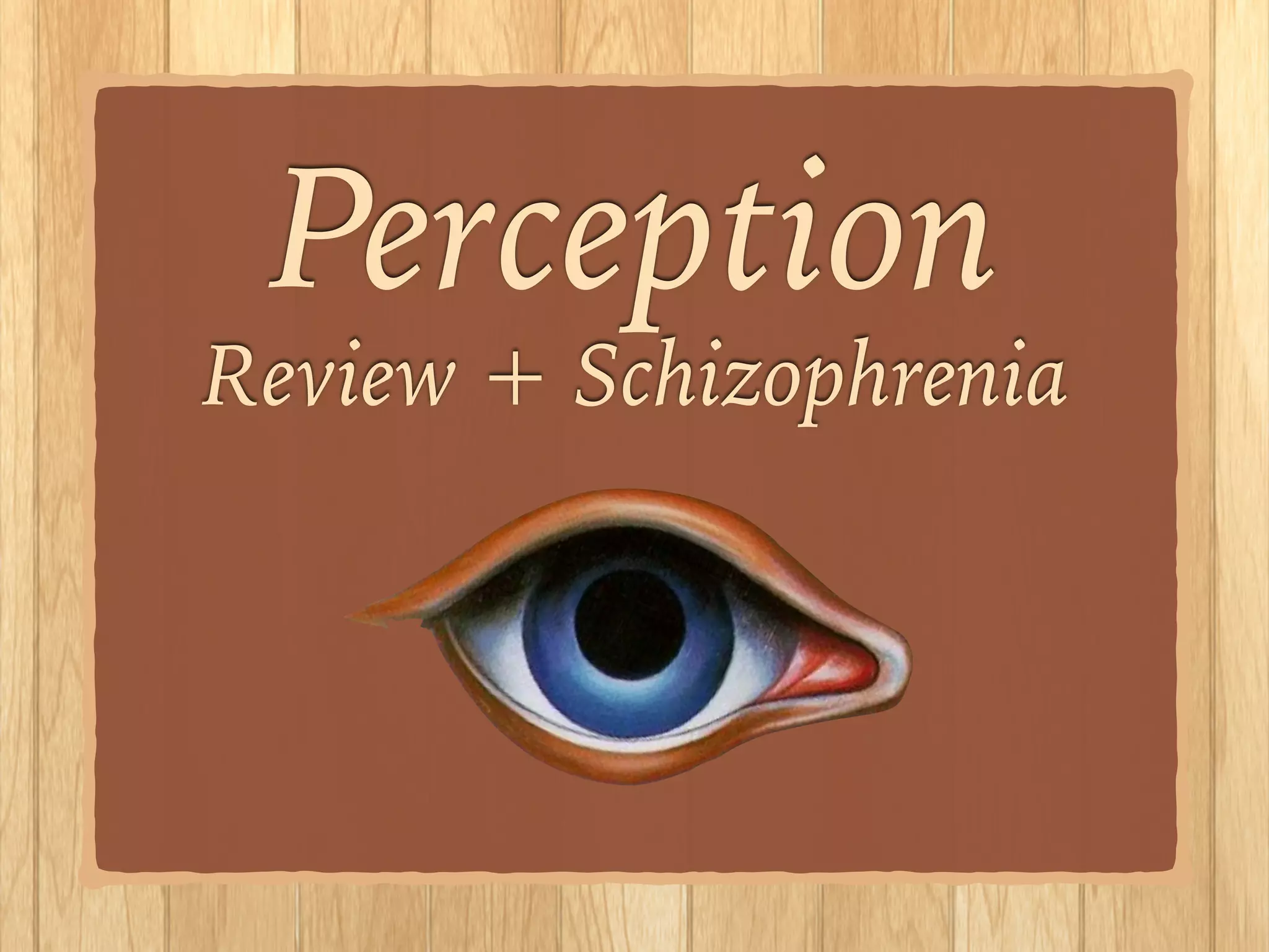 Sensation Part 4 | PPT