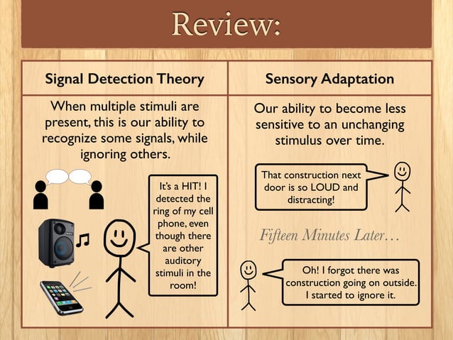 Sensation Part 4 | PPT