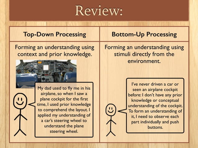 Sensation Part 4 | PPT