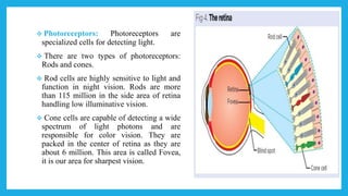 Sensation(vision).pptx