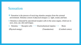 Sensation(vision).pptx