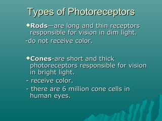 Sensation vison | PPT | Eye and Vision Conditions | Diseases and Conditions