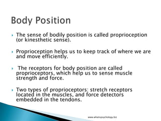 Psych 101 - Introduction to Psychology - Lecture 4 | PPTX