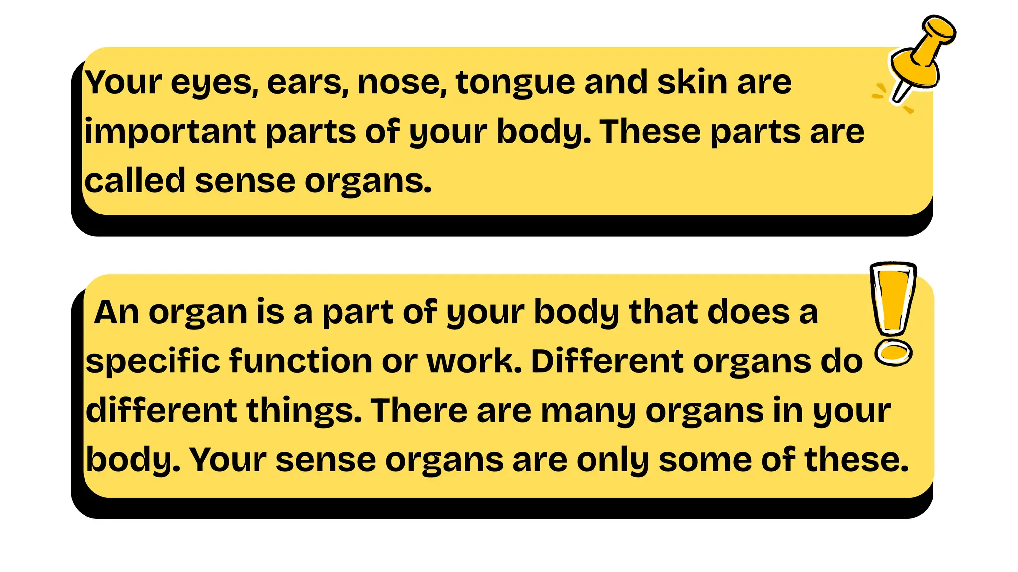 SENSE-ORGANS-AND-SENSES GROUP 1 presentation | PPT