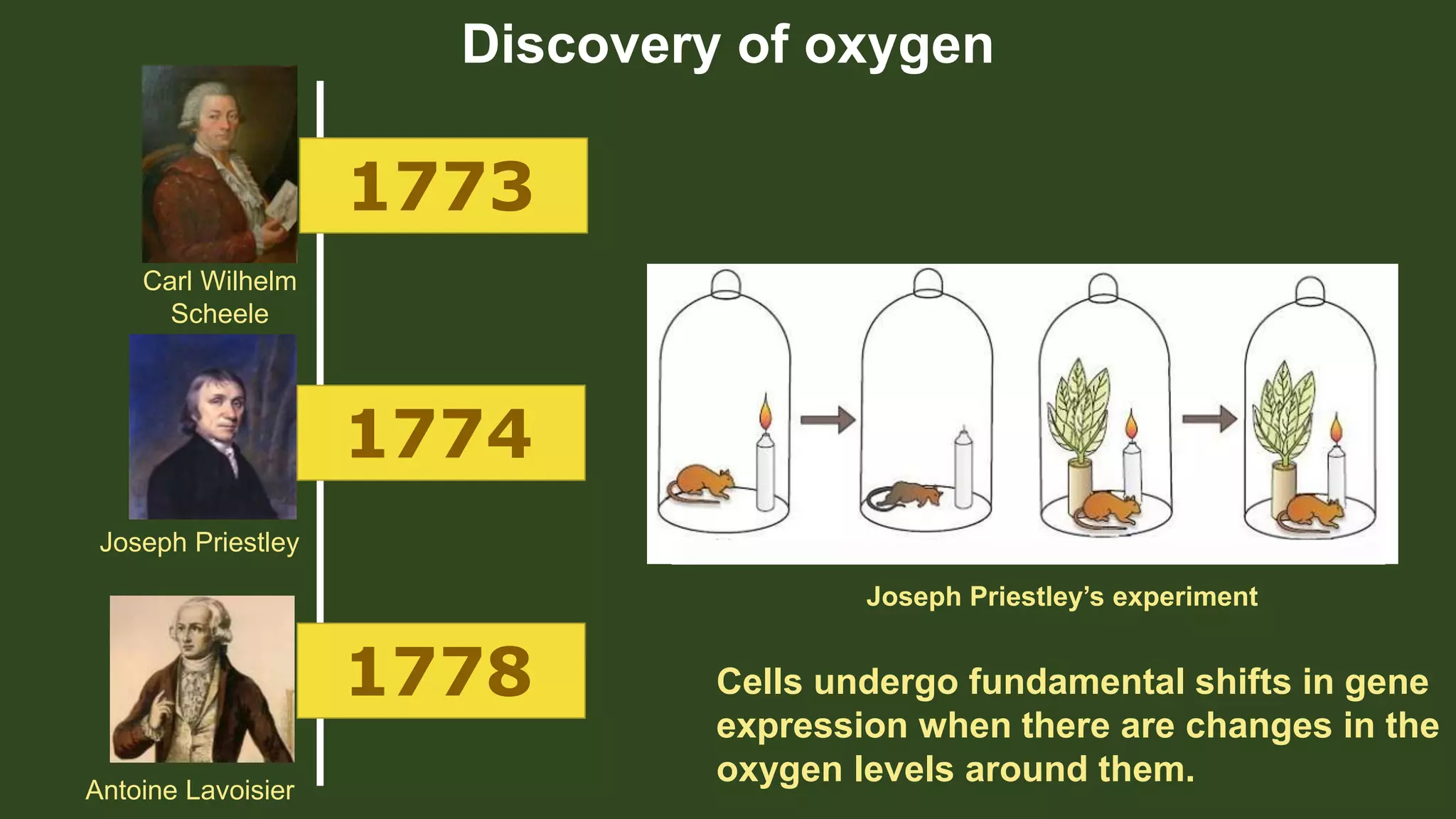 Sense and adaptability of animal cells to oxygen availability | PPT