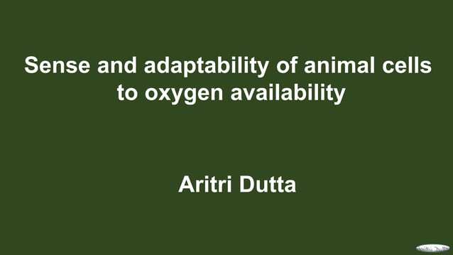 Sense and adaptability of animal cells to oxygen availability | PPT ...