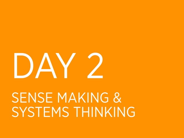 SENSE MAKING & SYSTEMS THINKING | PDF