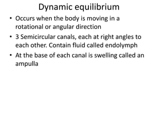 Sense of equilibrium | PPTX