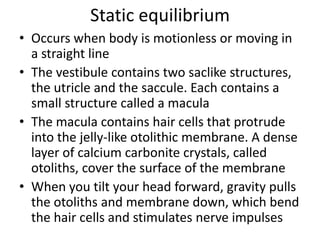 Sense of equilibrium | PPTX
