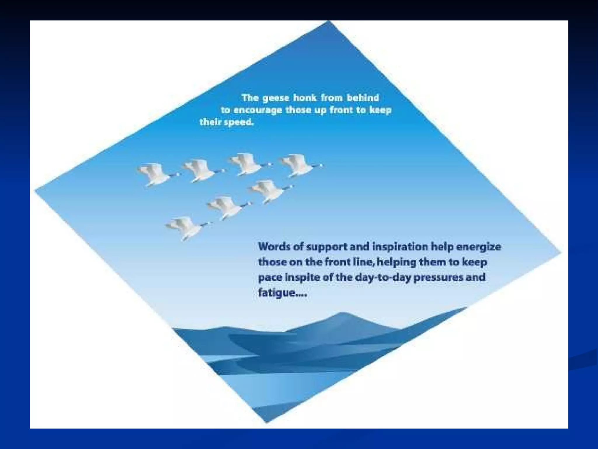 Sense Of Goose | PPT