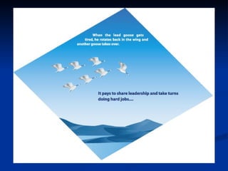 Sense Of Goose | PPT