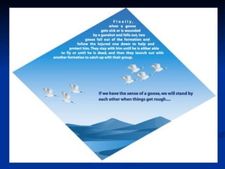 Sense Of Goose | PPT