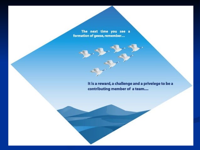 Sense Of Goose | PPT