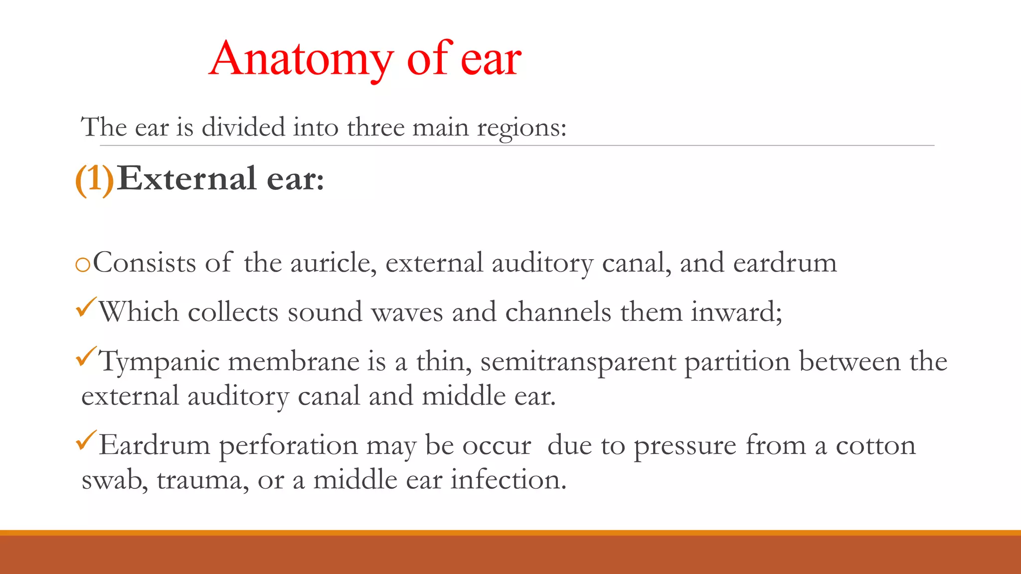 sense of hearing.pptx