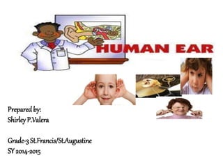 Sense of hearing ppt gr.3 ears | PPT