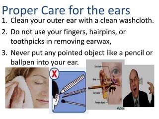 Sense of hearing ppt gr.3 ears | PPT