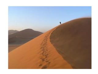 Sense of scale | PPT