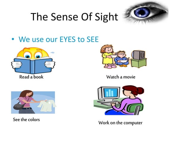 Sense of sight | PPTX