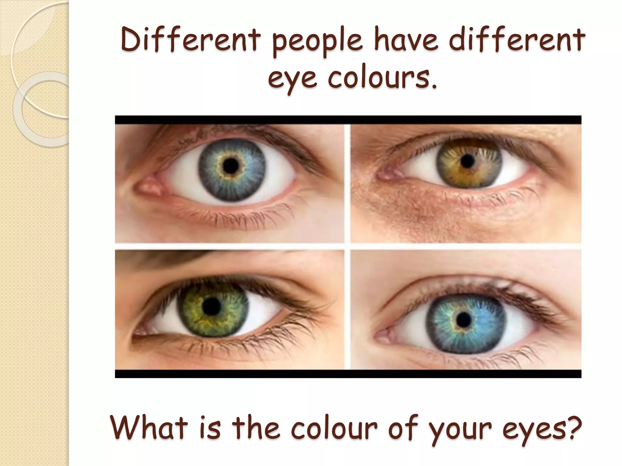 Sense of Sight | PPTX