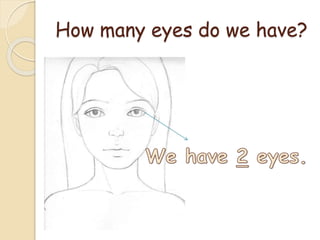 Sense of Sight | PPTX