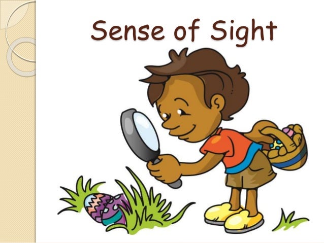 Sense of Sight